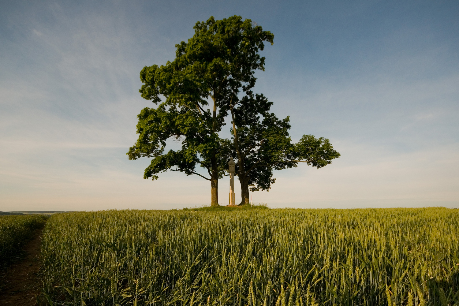 cerenuv-sloup - pacov.cz